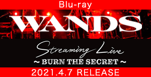 WANDS OFFICIAL WEBSITE